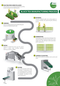 Vietnamese black tea orthodox made by FGC-the largest brand in Vietnam