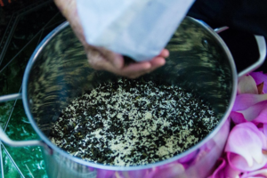 Best Vietnamese Lotus Tea for global tea lovers