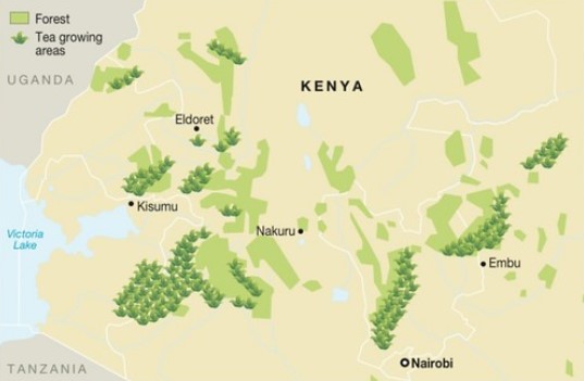 Choose the best tea supplier by discovering 6 top tea growing regions ...