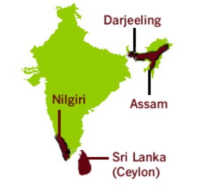 Choose the best tea supplier by discovering 6 top tea growing regions ...